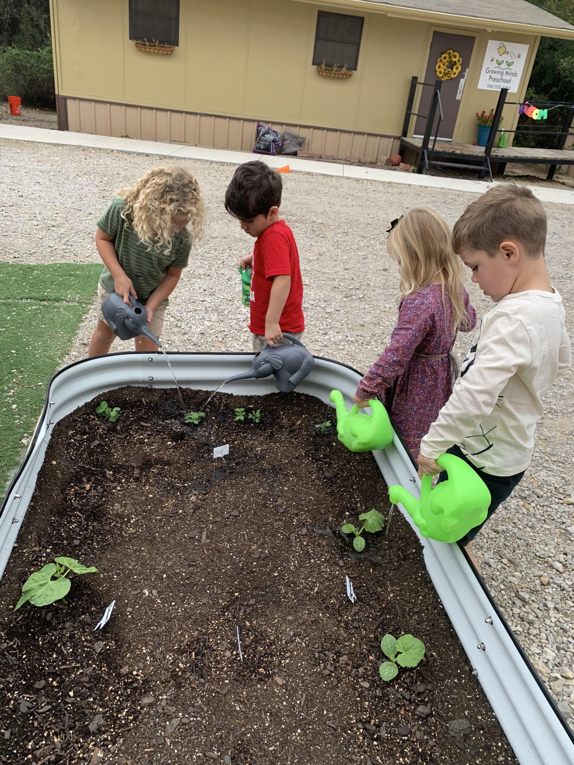 Growing Minds Preschool