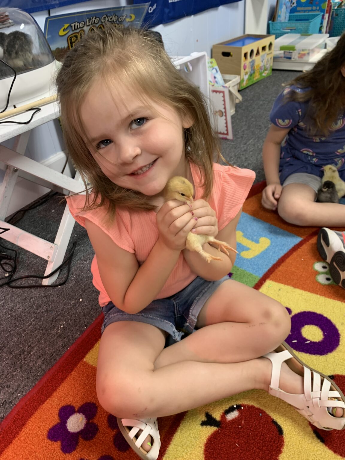 Growing Minds Preschool